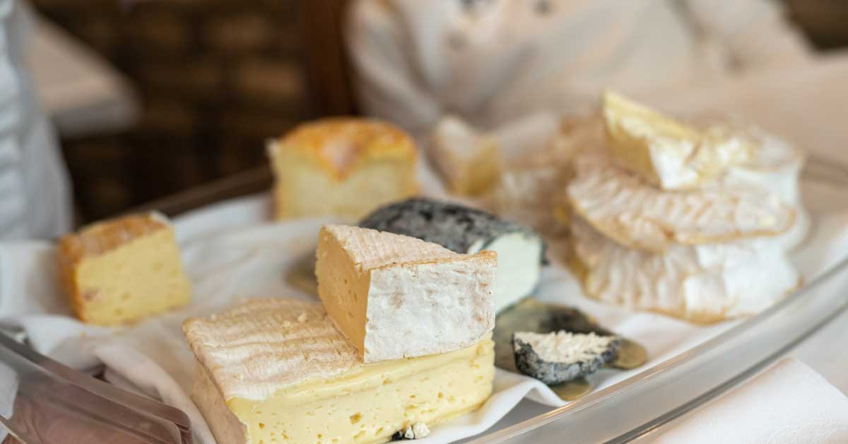 Storing Cheese Properly: How to Keep It Fresh and Flavorful - Highest ...